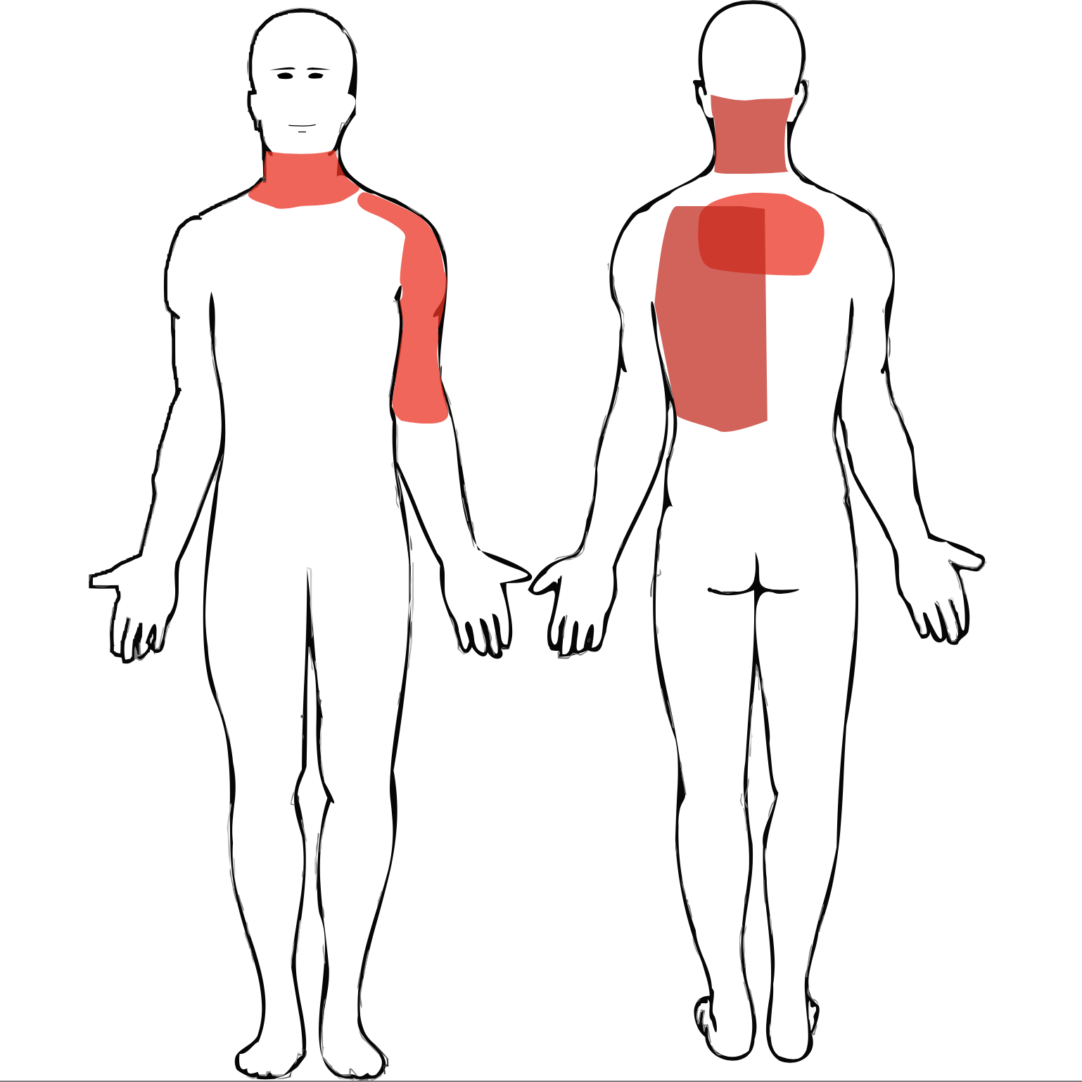 Thoracic Spine Visceral Referred Pain – Book Companion app